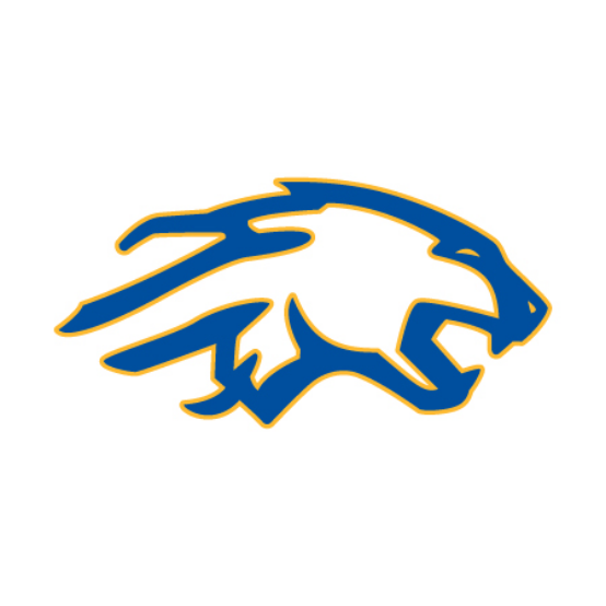 Team Preview: Sierra Vista Mountain Lions - Prep Hoops