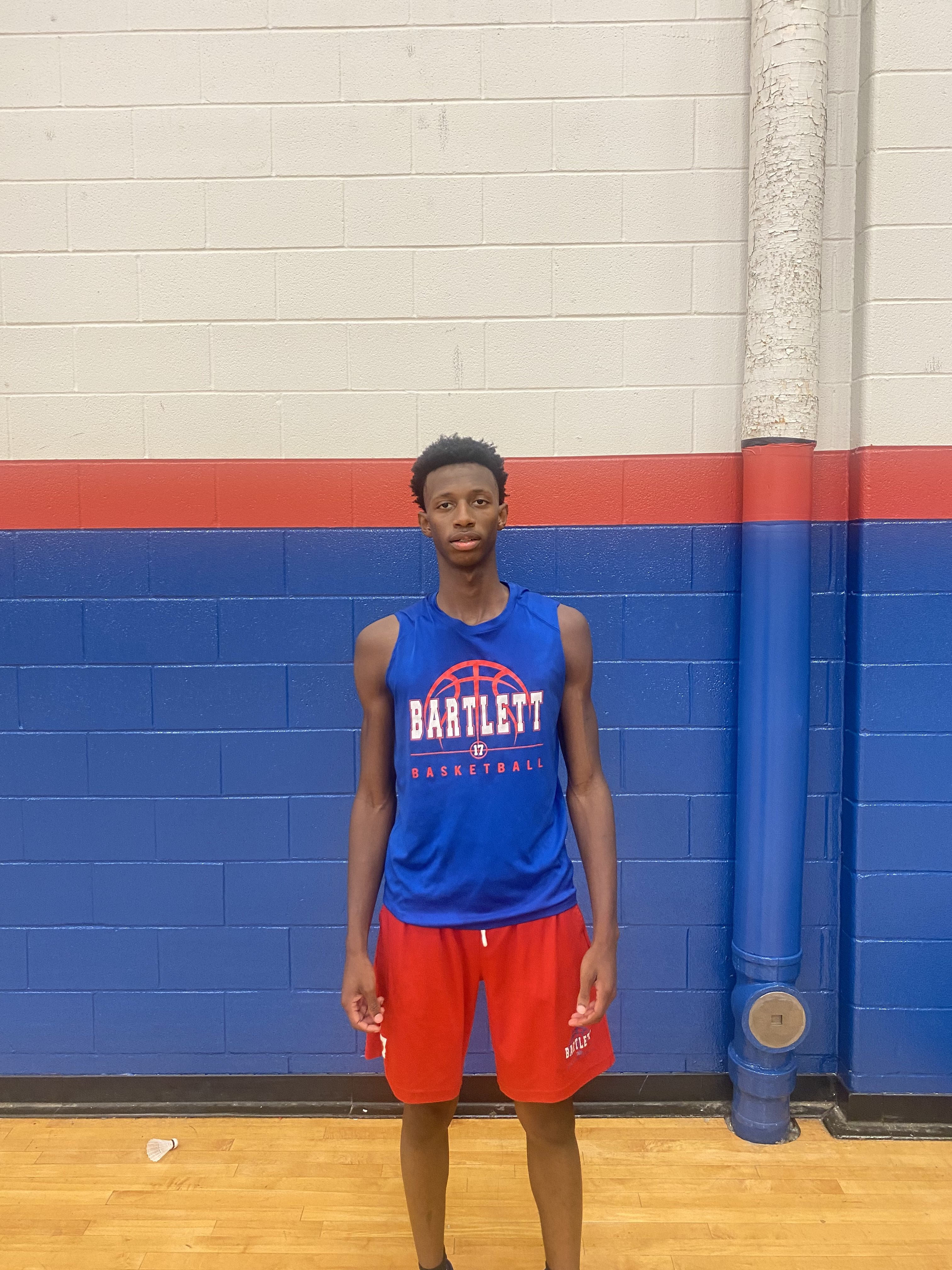 Season preview: Bartlett Panthers - Prep Hoops