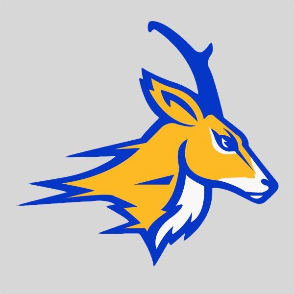 Whiteface - Prep Hoops Whiteface - Prep Hoops