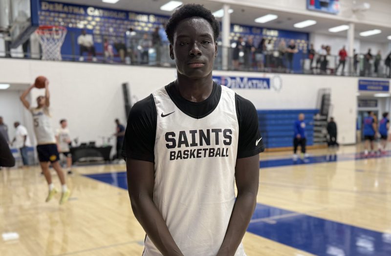 CHSL: Friday's Imposing W/F Prospects - Prep Hoops