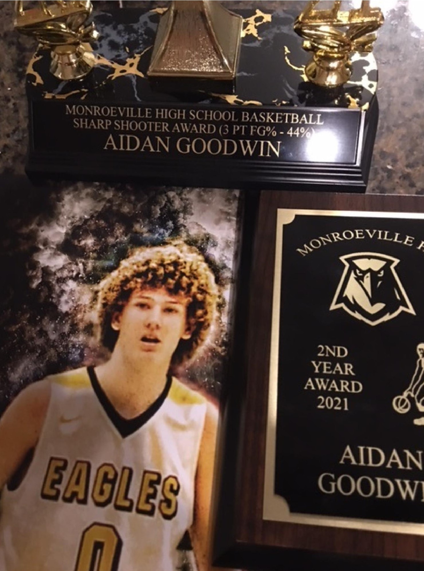 Aidan Goodwin, Monroeville - Prep Hoops