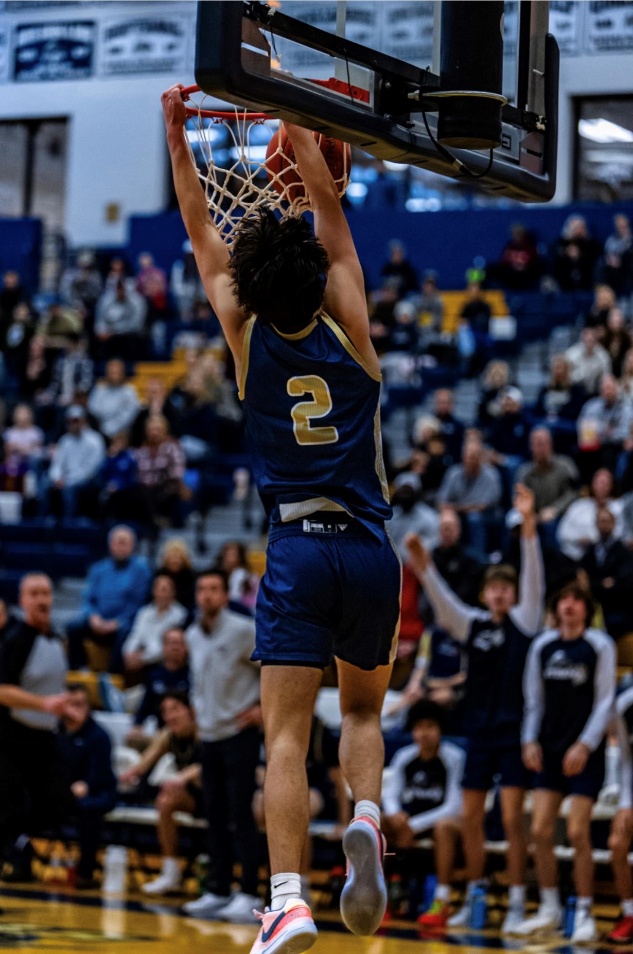 Riley Johnson, Chanhassen - Prep Hoops